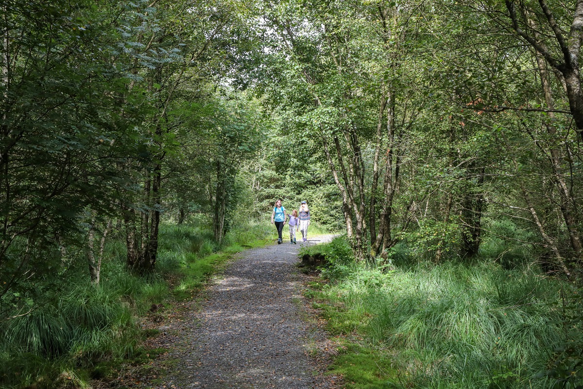 Natural Resources Wales / Cors Caron National Nature Reserve, near Tregaron