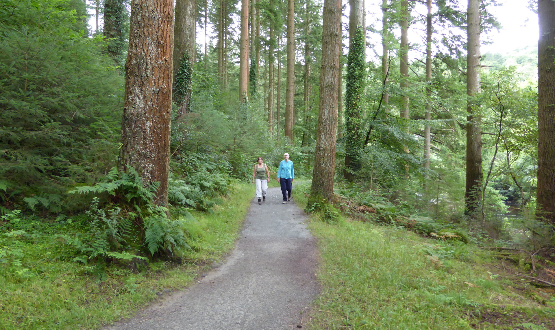 Natural Resources Wales / Newborough National Nature Reserve and Forest ...