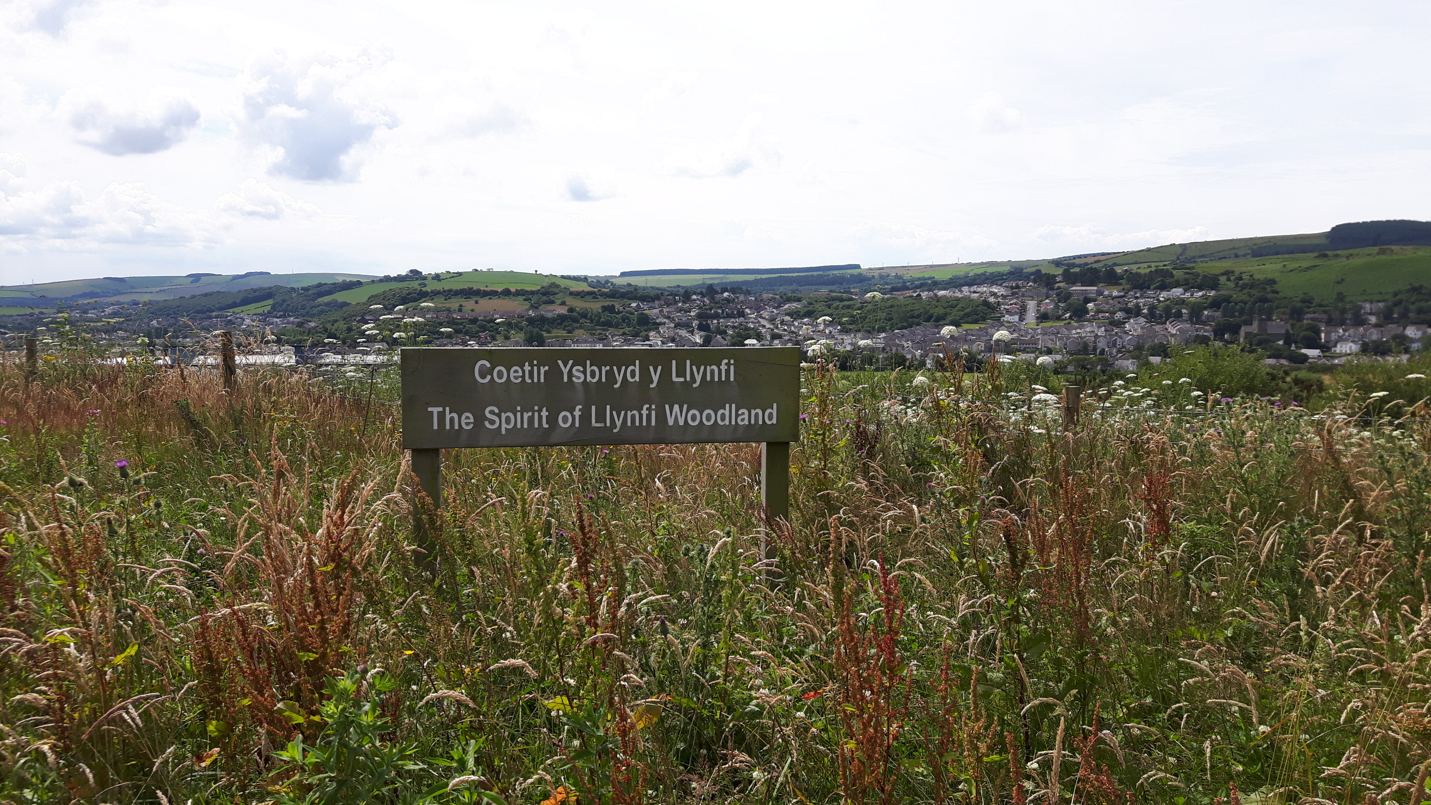 Natural Resources Wales / Blaen y Glyn, near Brecon