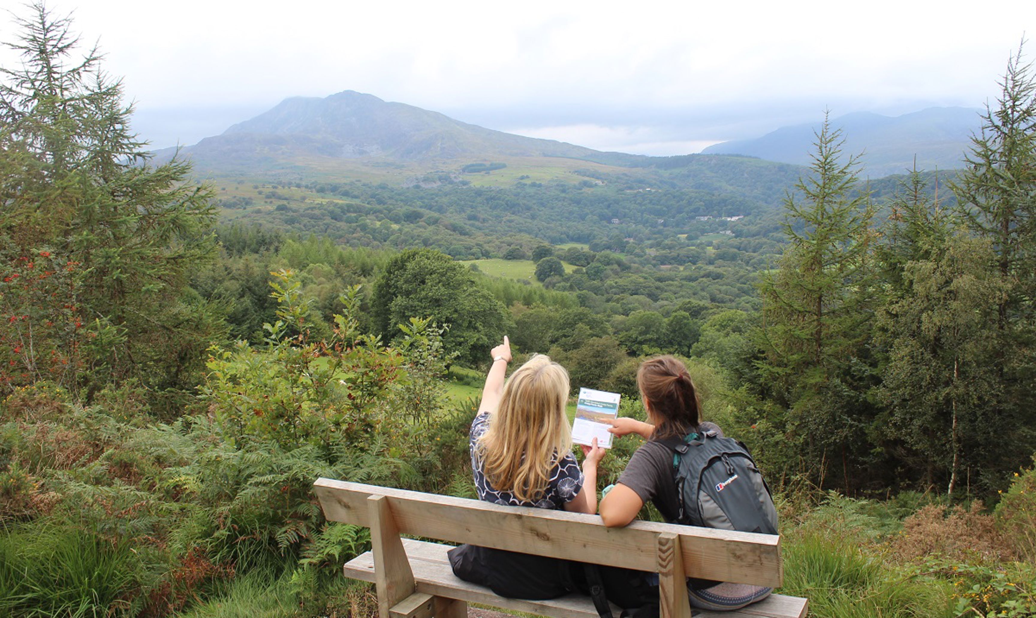 Natural Resources Wales / Morfa Dyffryn National Nature Reserve, near ...
