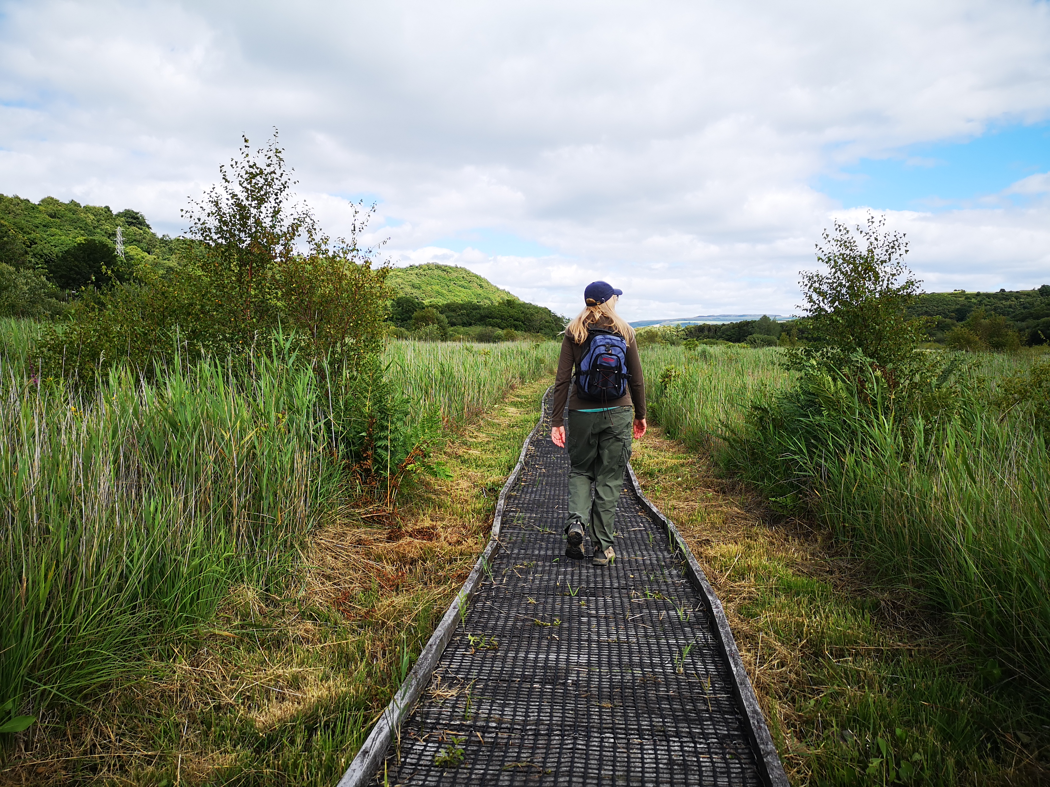Natural Resources Wales / Pembrey Forest, near Llanelli