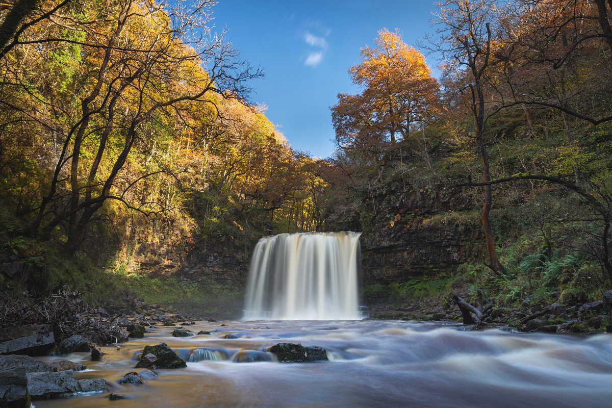 Natural Resources Wales / Taf Fechan Forest, near Brecon