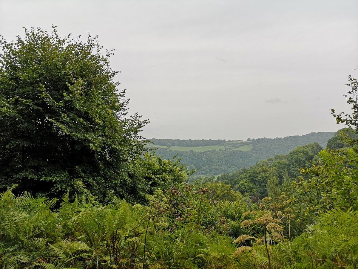 Natural Resources Wales / Cwm Carn Forest, near Newport