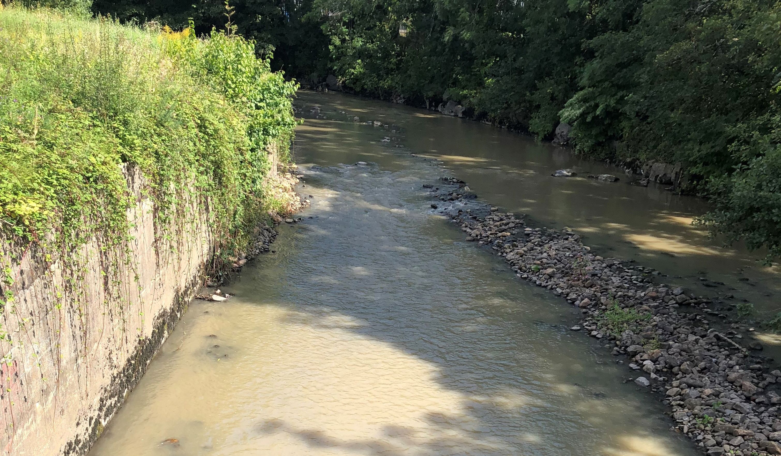 Natural Resources Wales / Company fined for polluting the River Cynon