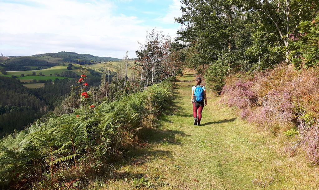 Natural Resources Wales / Cors Caron National Nature Reserve, near Tregaron