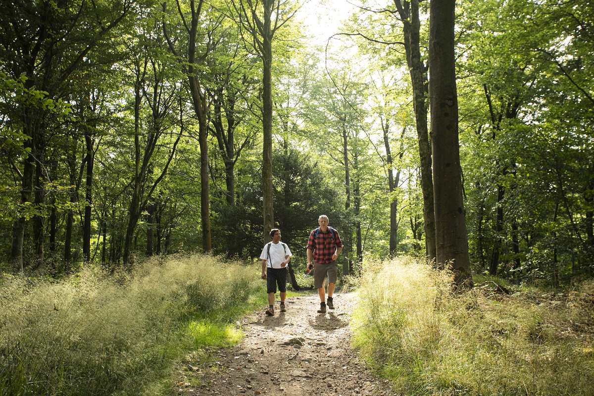 Natural Resources Wales / Taf Fechan Forest, near Brecon