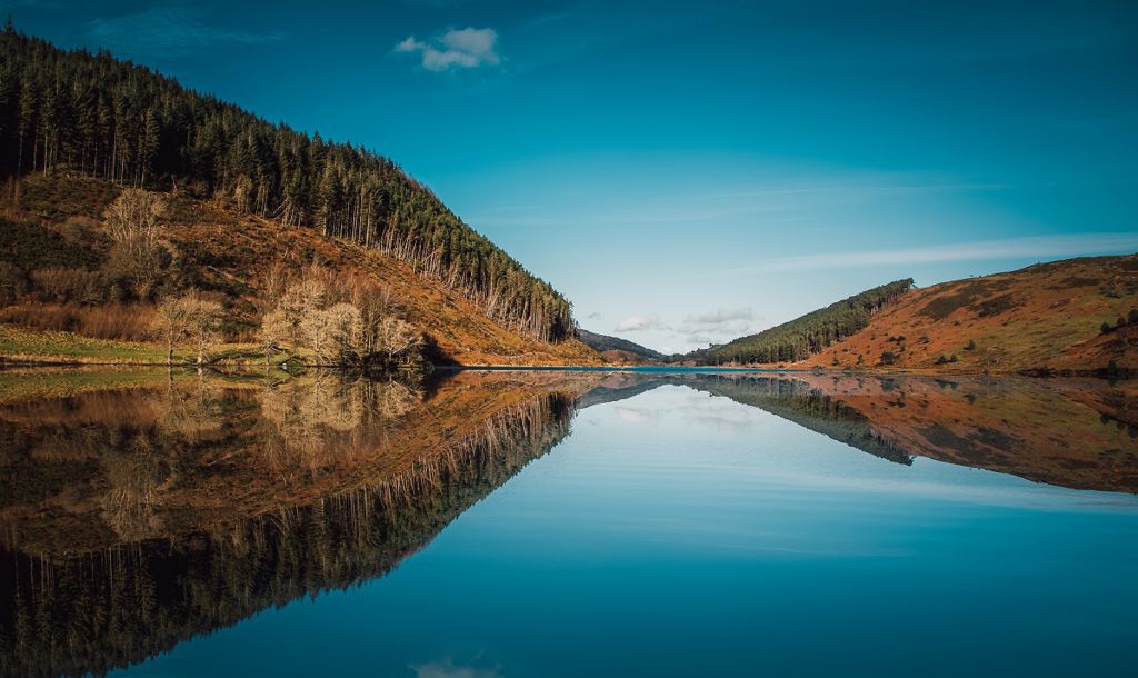 Natural Resources Wales / Morfa Dyffryn National Nature Reserve, near ...