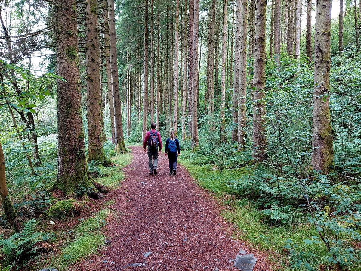 Natural Resources Wales / Cors Caron National Nature Reserve, near Tregaron
