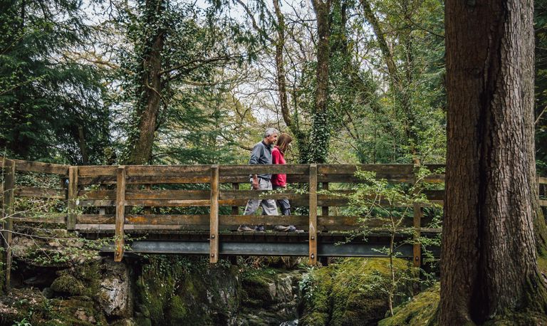Natural Resources Wales / Morfa Dyffryn National Nature Reserve, near ...