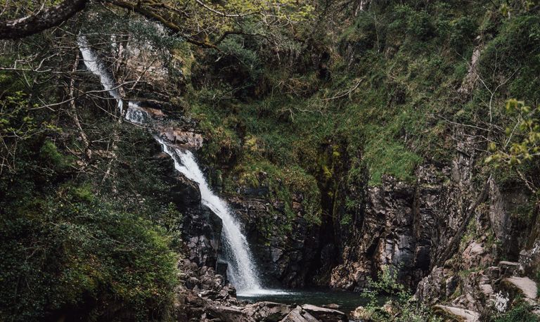 Natural Resources Wales / Coed y Brenin Forest Park - Pont Ty'n-y-groes ...