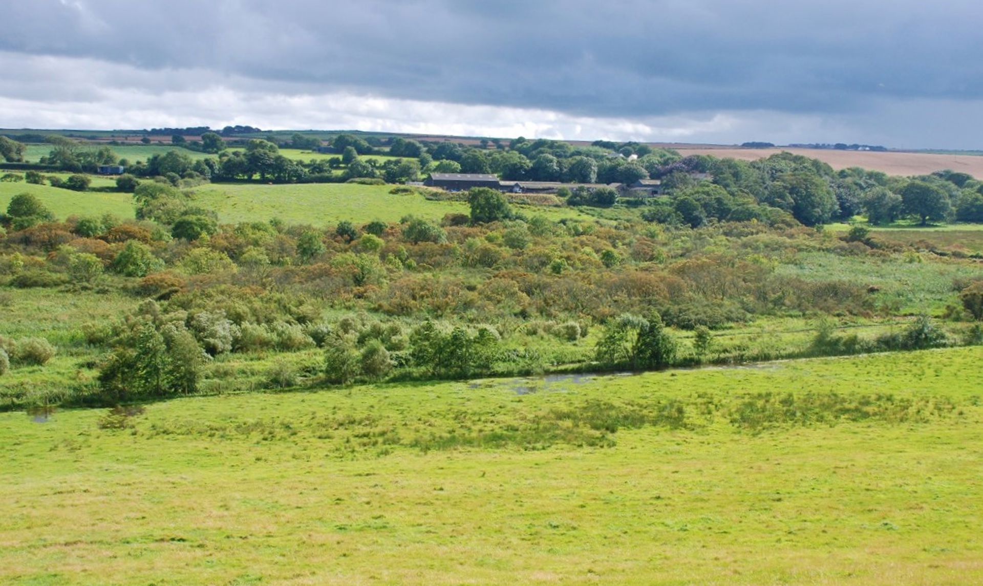 Natural Resources Wales / Pembrey Forest, near Llanelli