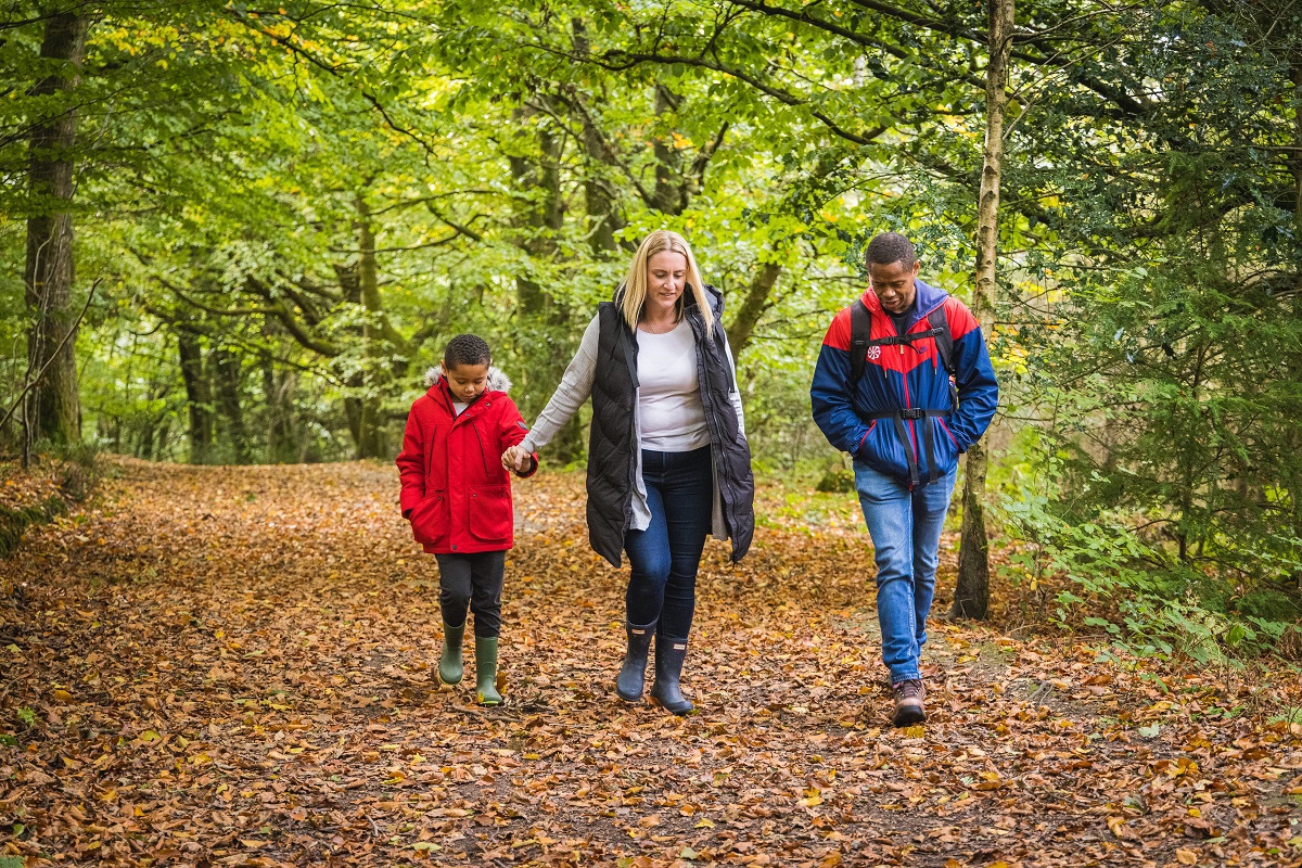 Natural Resources Wales / Taf Fechan Forest, near Brecon