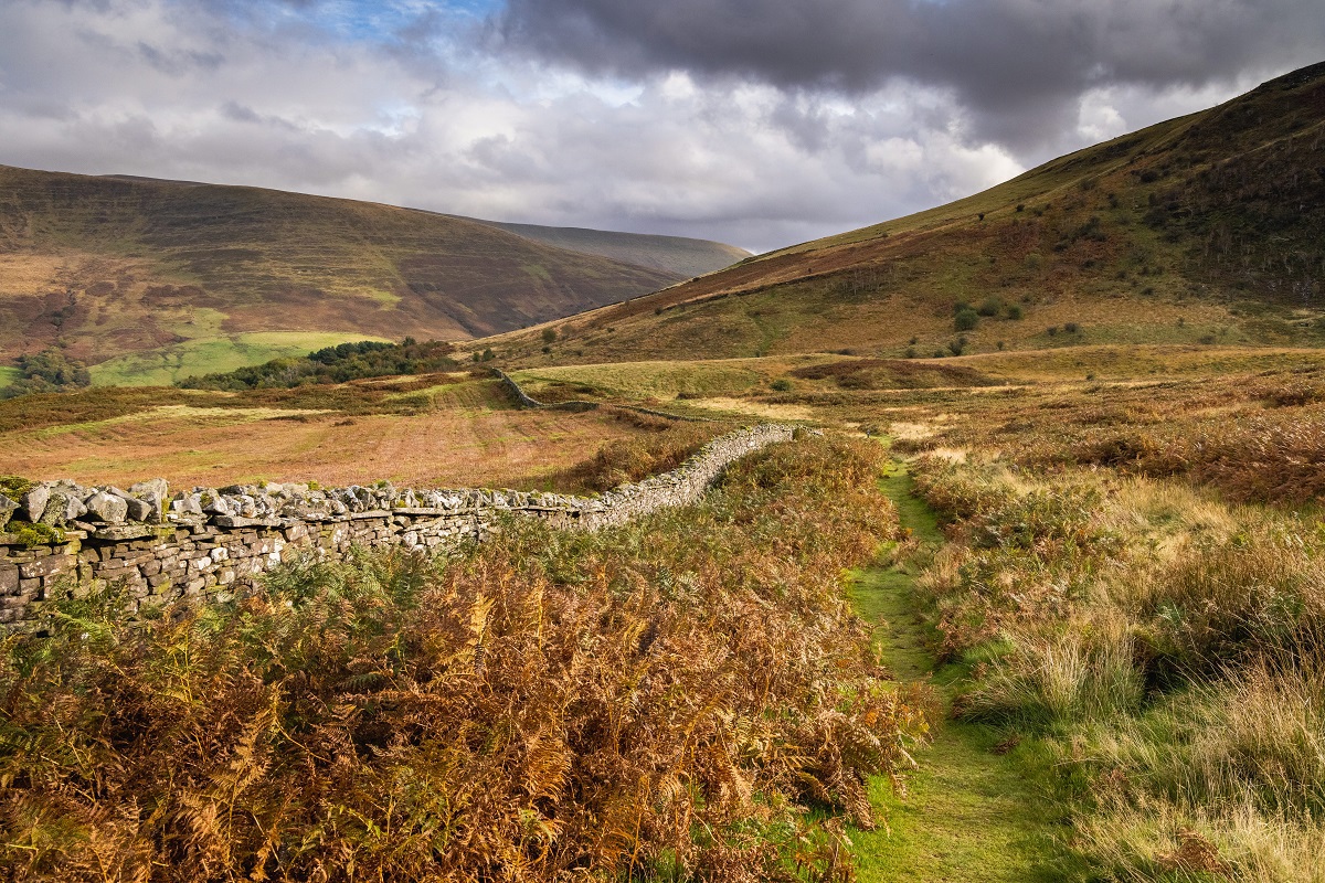 Natural Resources Wales / Cwm Carn Forest, near Newport