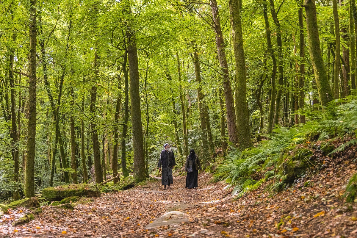 Natural Resources Wales / Whitestone, near Chepstow