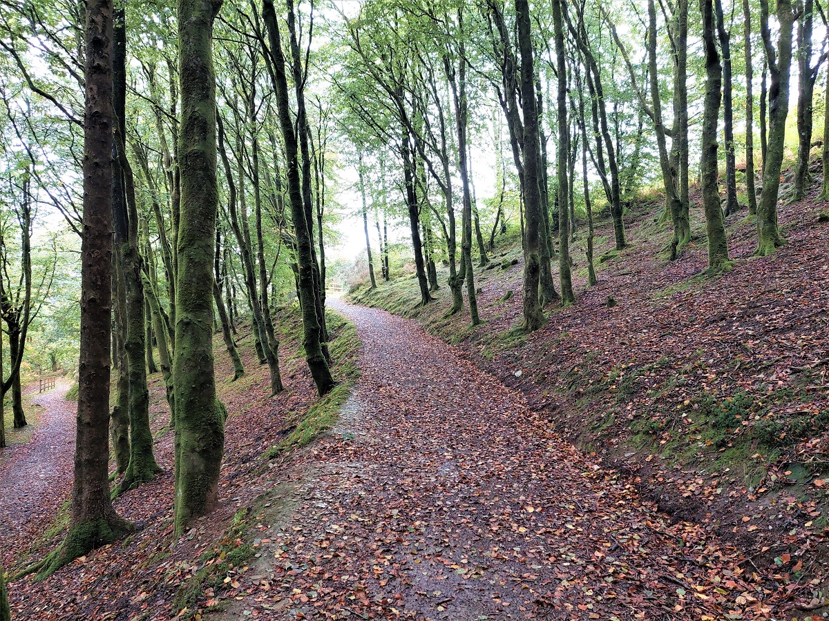 Natural Resources Wales / Afan Forest Park – Glyncorrwg Mountain Bike ...