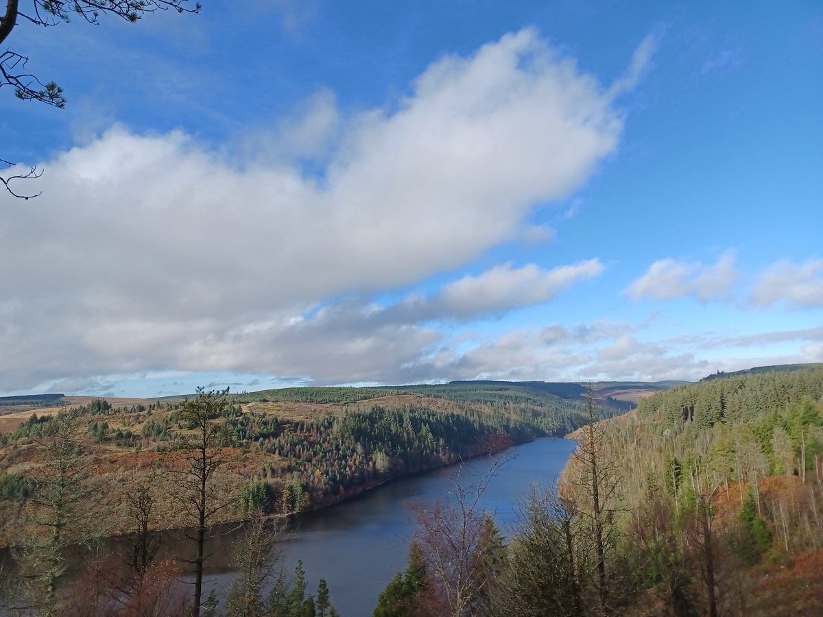 Natural Resources Wales / Tywi Forest, near Tregaron