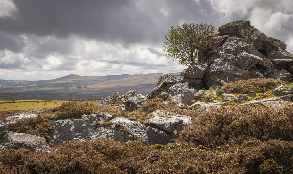 Natural Resources Wales / Brechfa Forest – Abergorlech, near Carmarthen