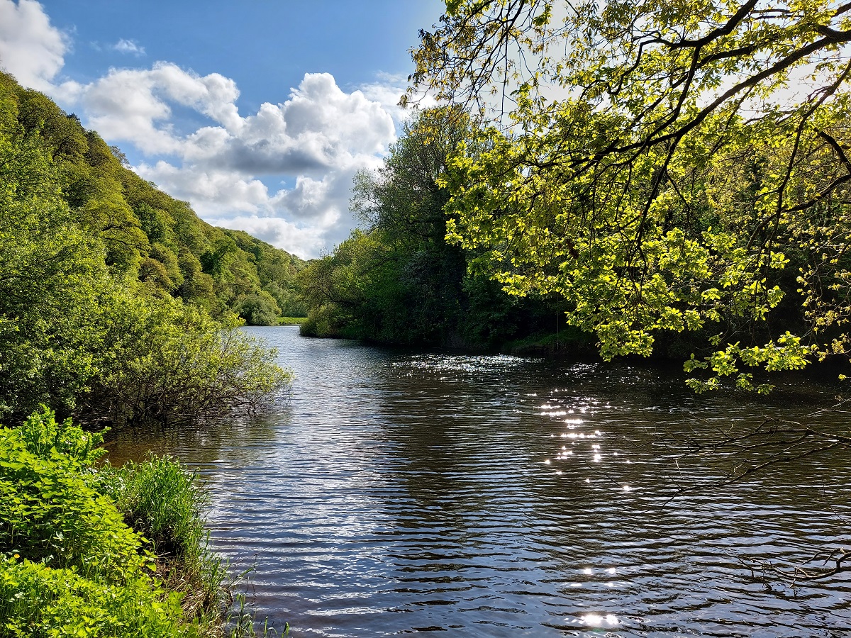 Natural Resources Wales / Afan Forest Park – Glyncorrwg Mountain Bike ...