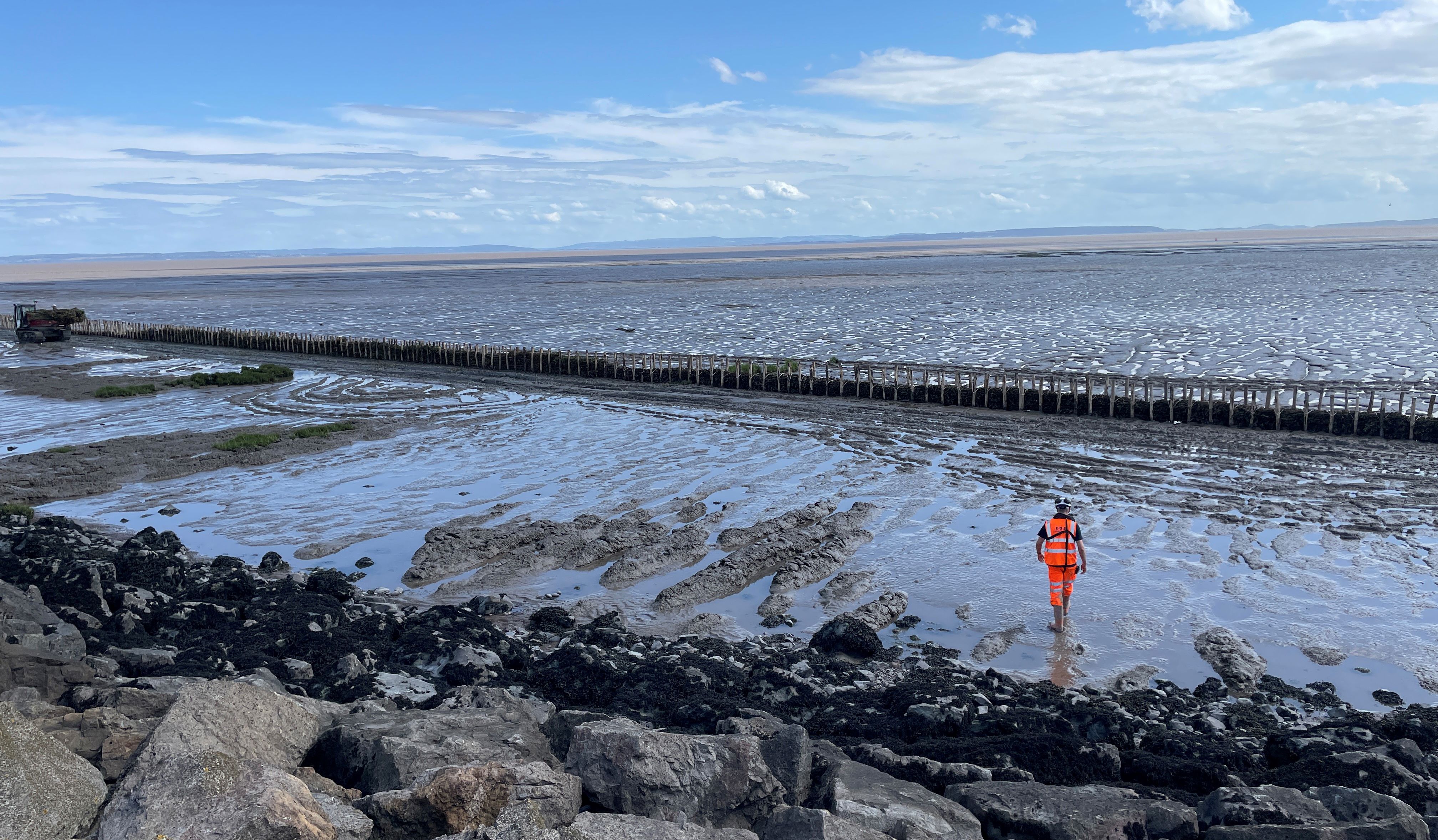 Natural Resources Wales / Restored saltmarsh habitat will help enhance ...