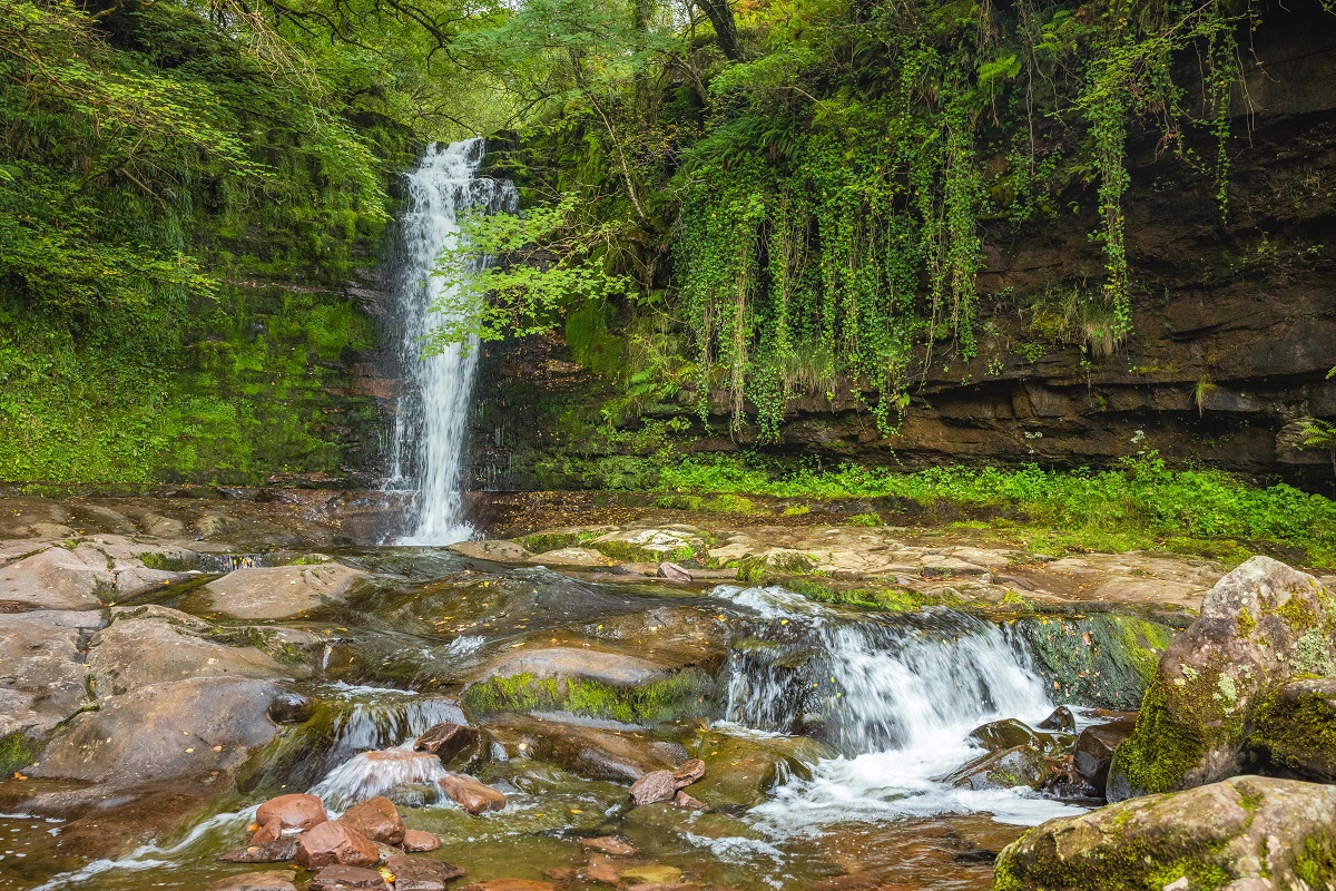 Natural Resources Wales / Taf Fechan Forest, near Brecon