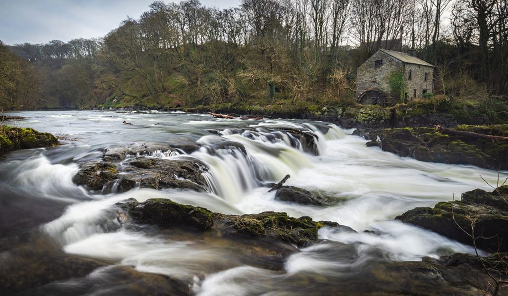 Natural Resources Wales / Safeguarding our Special Area of Conservation ...