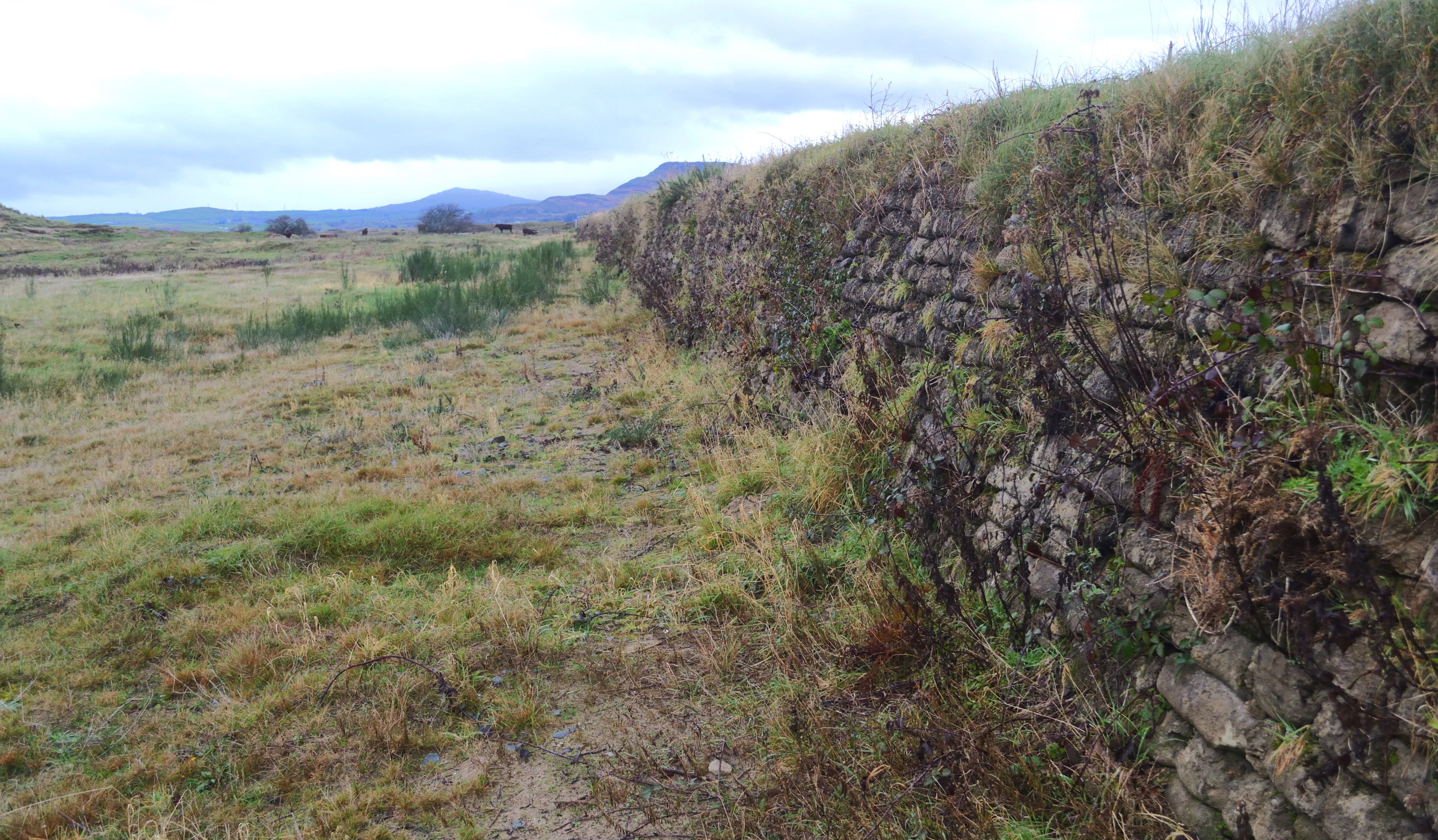 Natural Resources Wales / Troop gunnery range subject of first ...