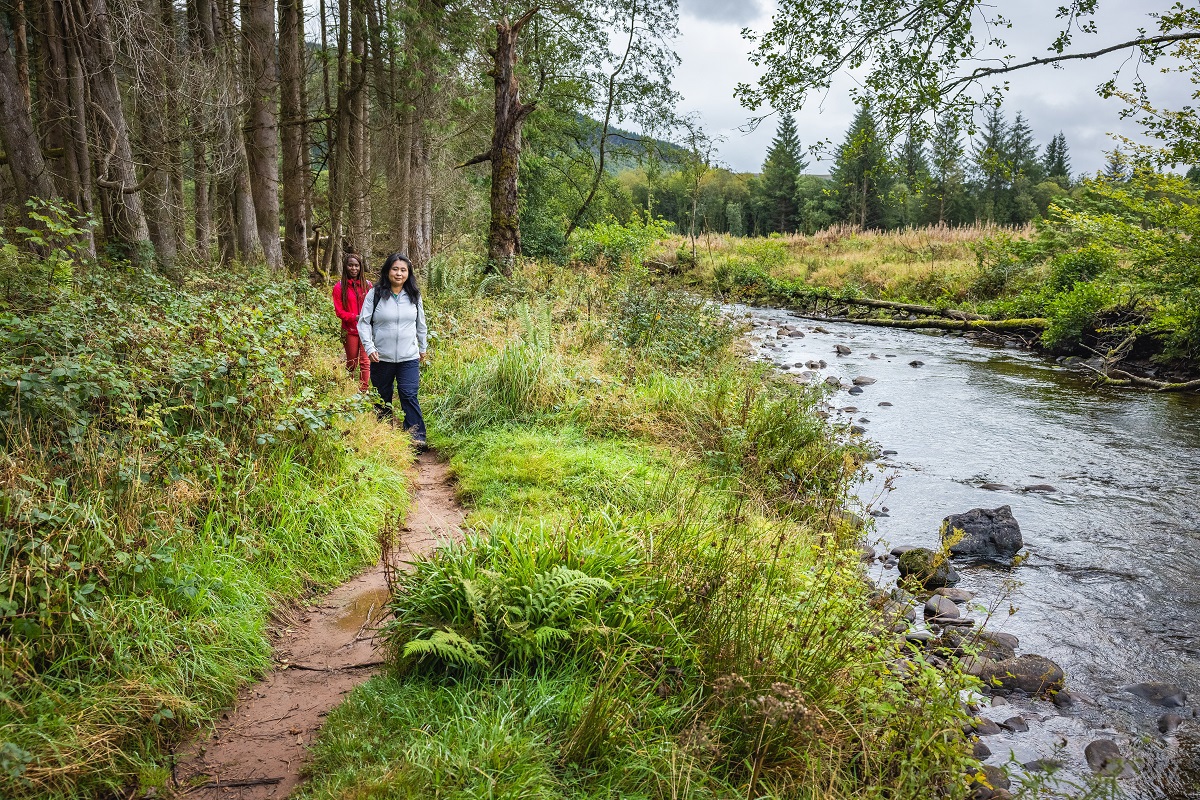 Natural Resources Wales / Taf Fechan Forest, near Brecon