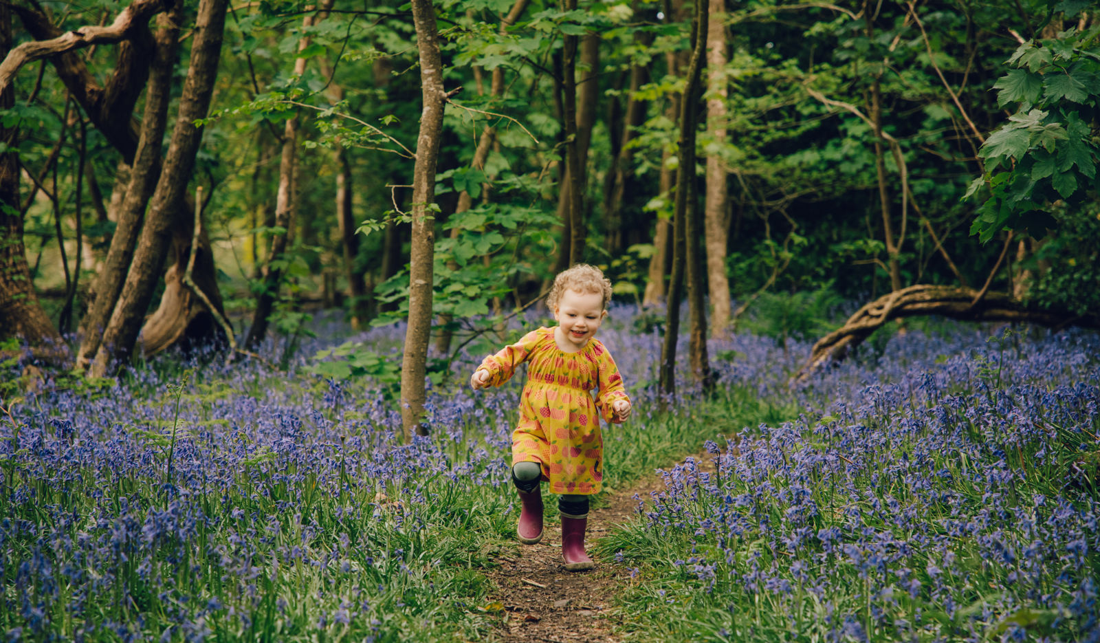 Natural Resources Wales / Statement: Welcoming the Future Generations Report 2025